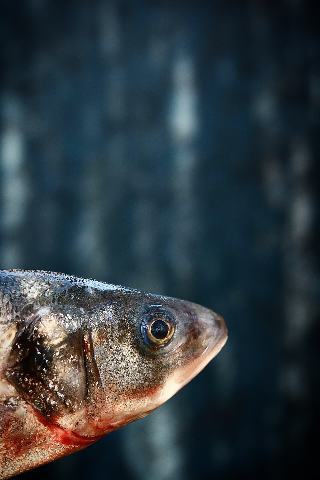 Heerlijke op hout gegrilde zeebaars met frisse marinade - The BBQ Bastard